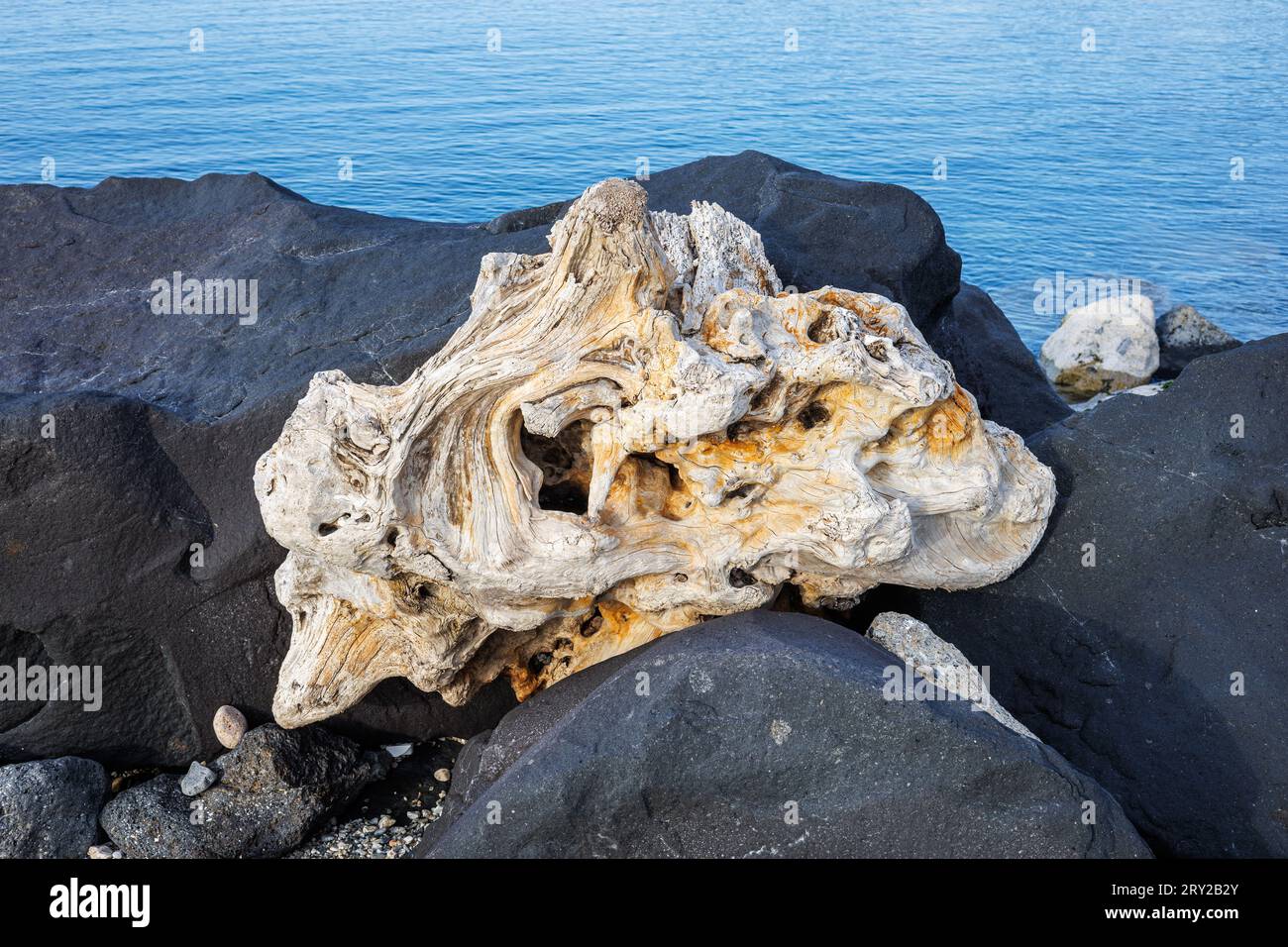 Washed up wood hi-res stock photography and images - Alamy