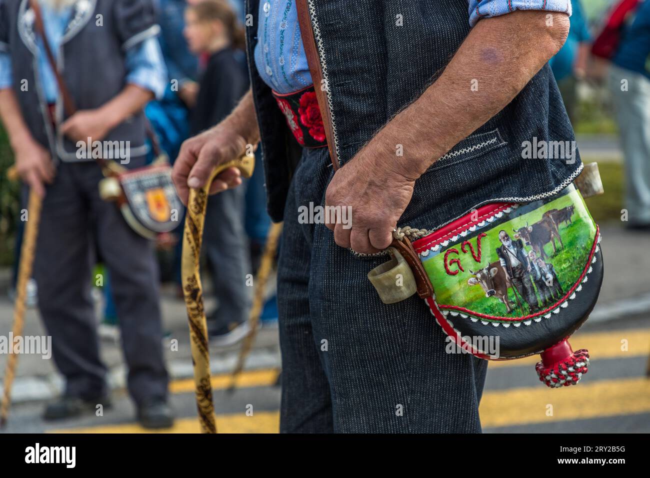 Autumnal ceremonial cattle drive from mountain pastures into the valley ...