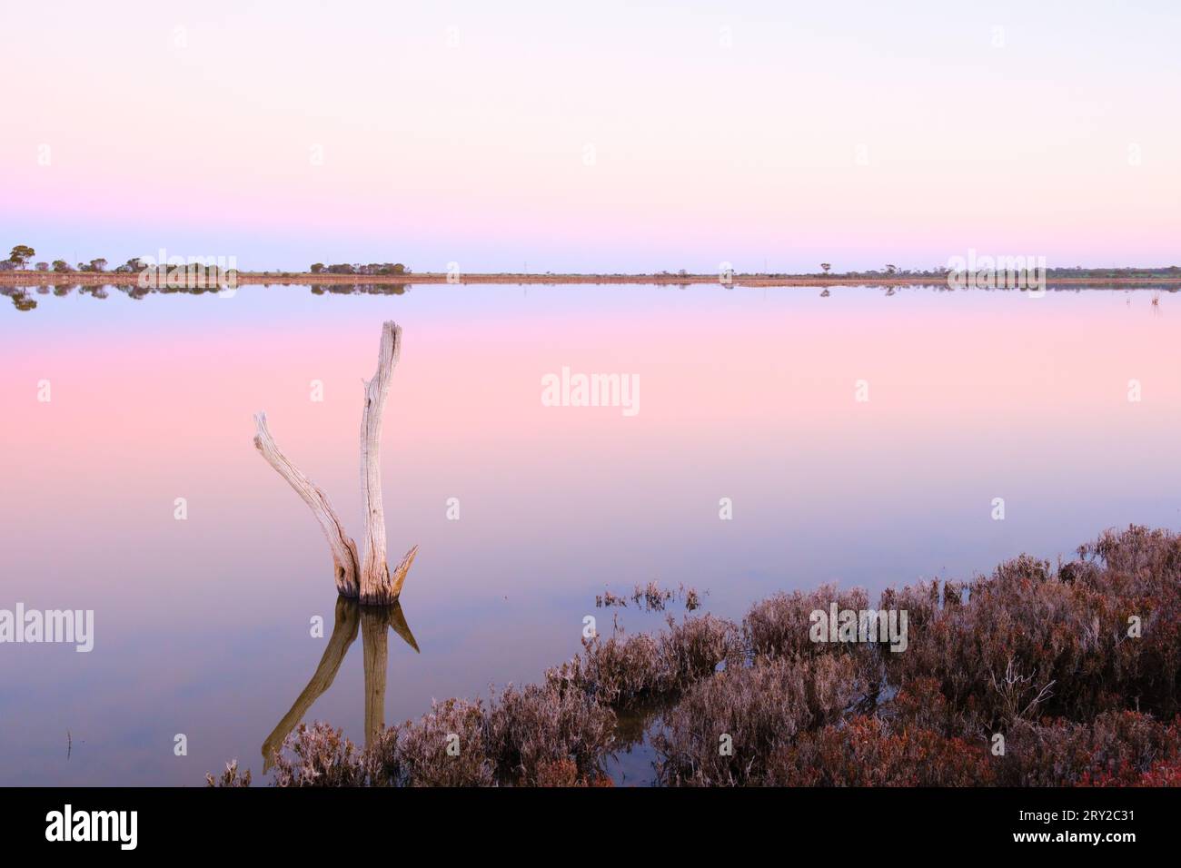 Kondinin lake nature reserve hi-res stock photography and images - Alamy