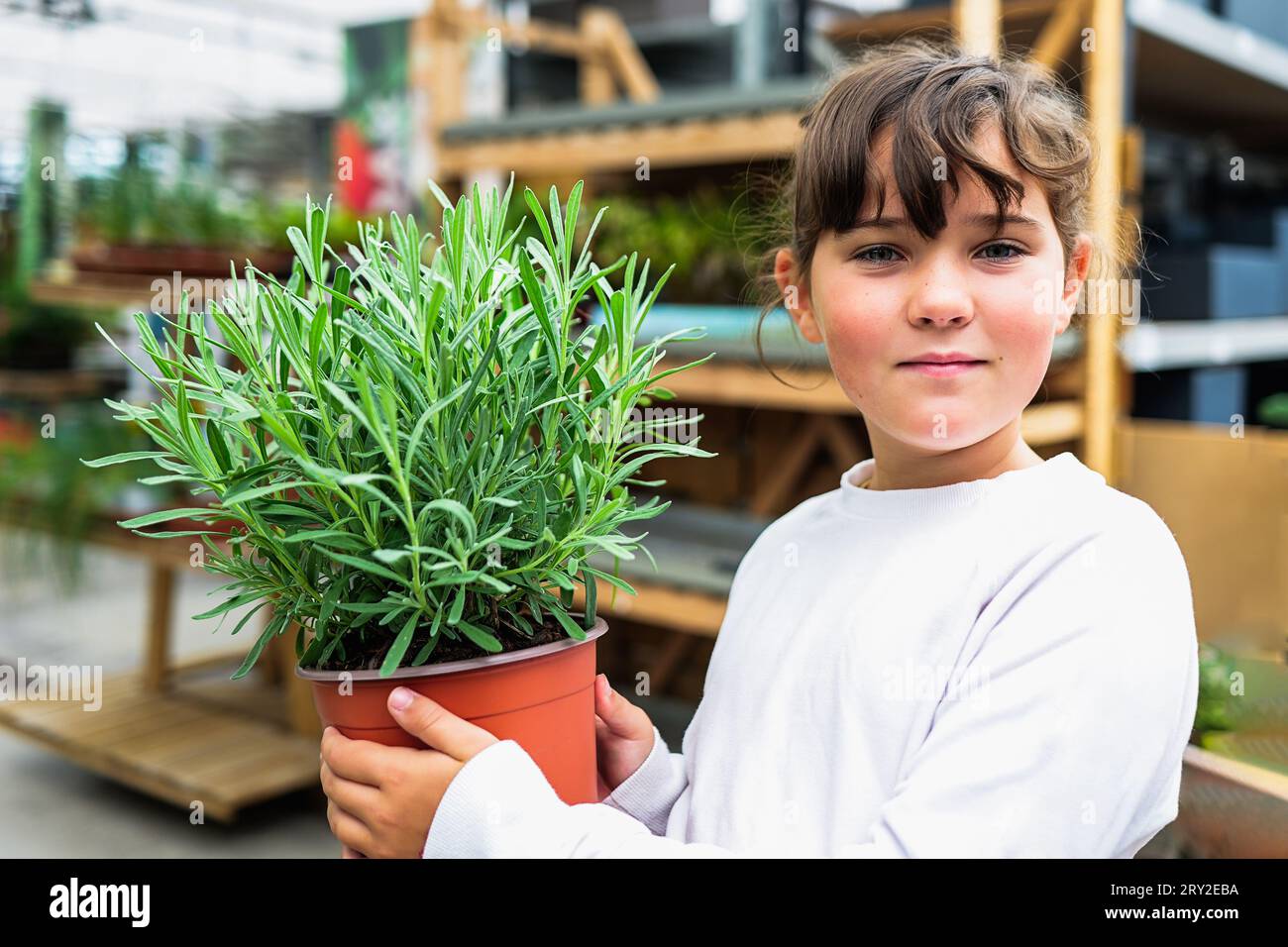 Portrait of smiling preteen girl standing while carrying potted green ...