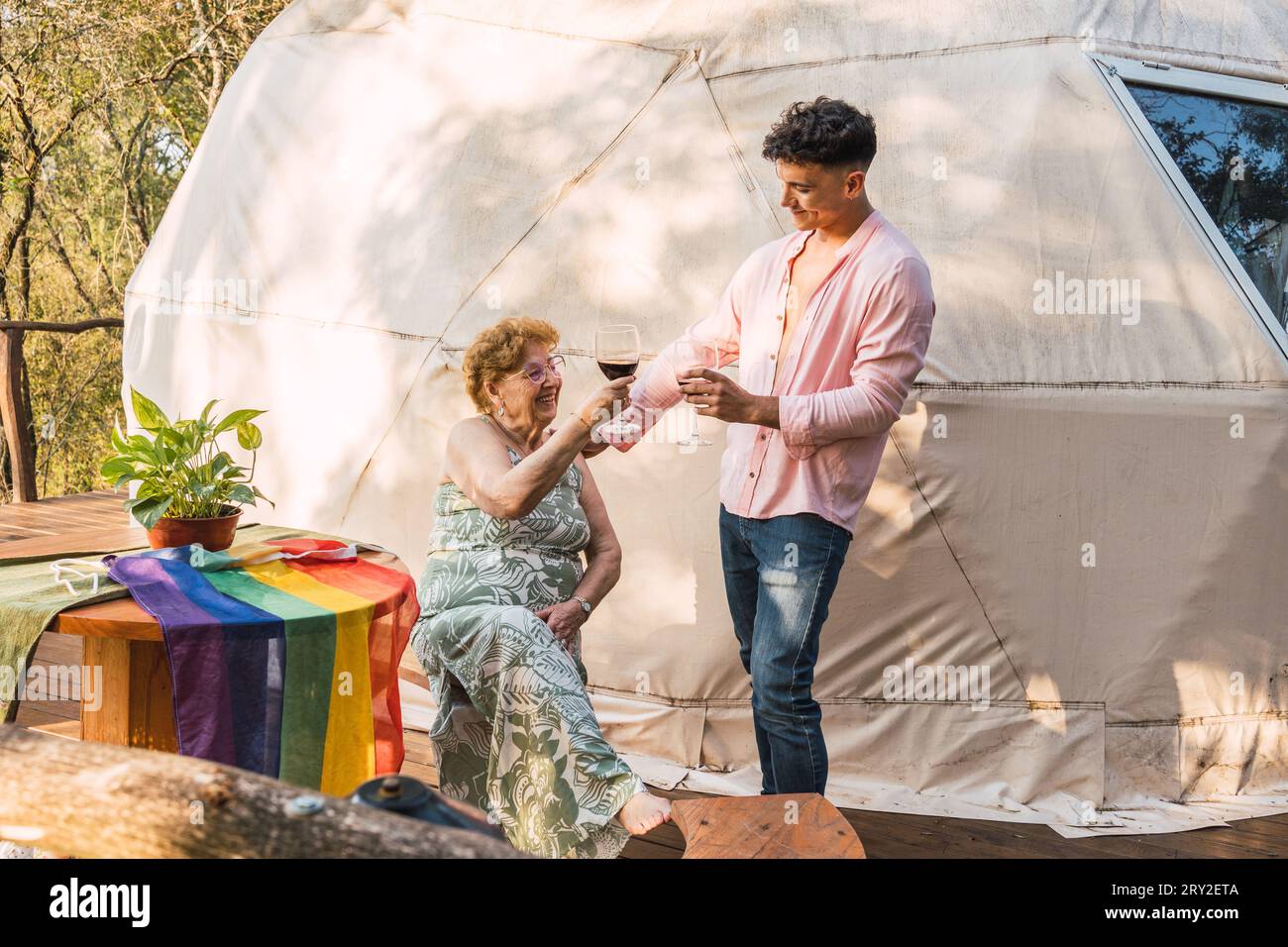 Full body of senior female toasting wineglass to LGBT son while sitting ...