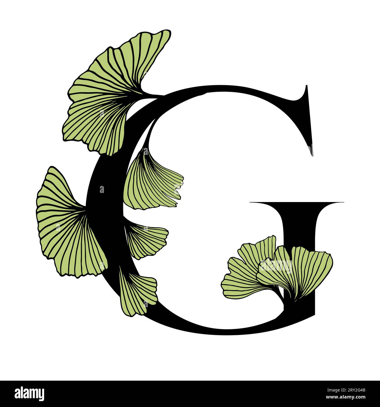 Ginkgo biloba leaves alphabet G. Badge and icon in trendy linear hand ...
