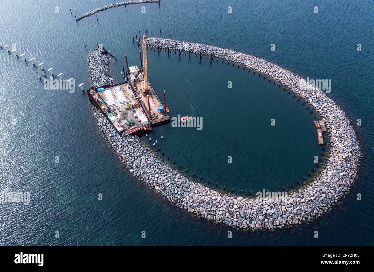 28 September 2023, Mecklenburg-Western Pomerania, Prerow: Cranes and ...