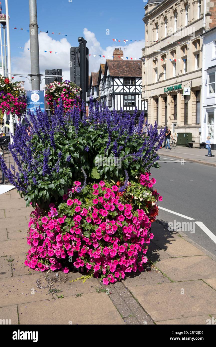 Stunning public floral displays celebrating Stratford in Bloom and ...
