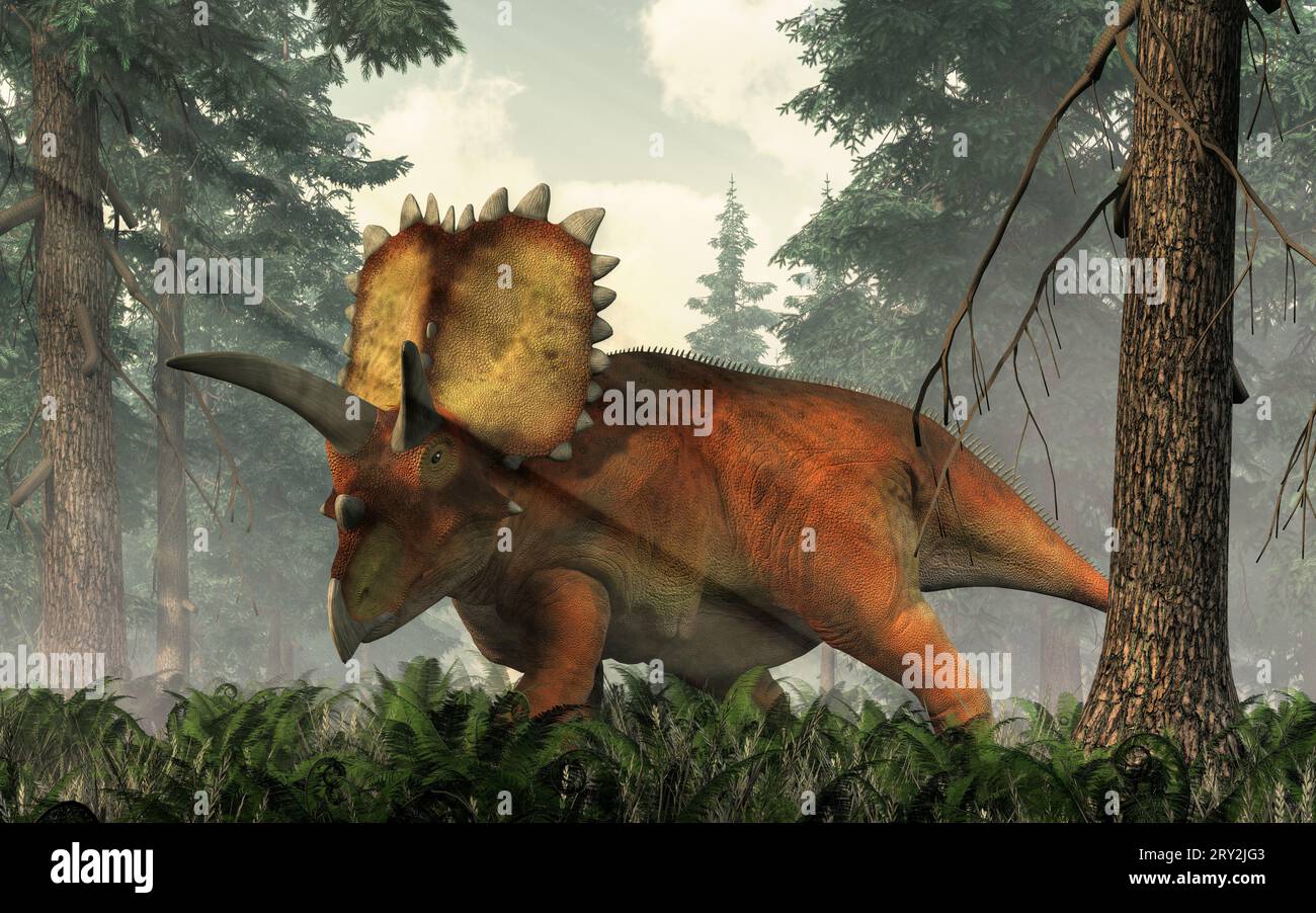 Coahuilaceratops is a species of herbivorous dinosaur that lived during ...