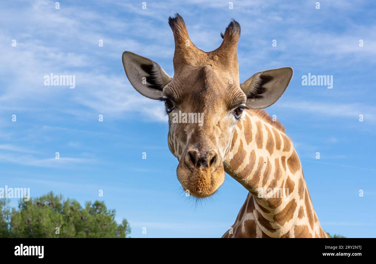 Beautiful baby eye hi-res stock photography and images - Alamy