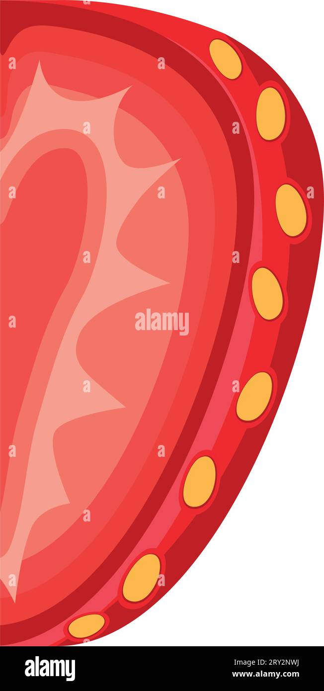 strawberry slice illustration Stock Vector Image & Art - Alamy