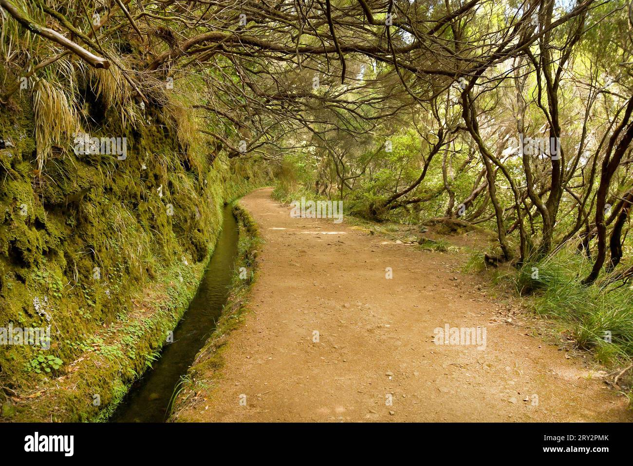 Scenic view of one of the footpaths and hiking trails alongside a ...