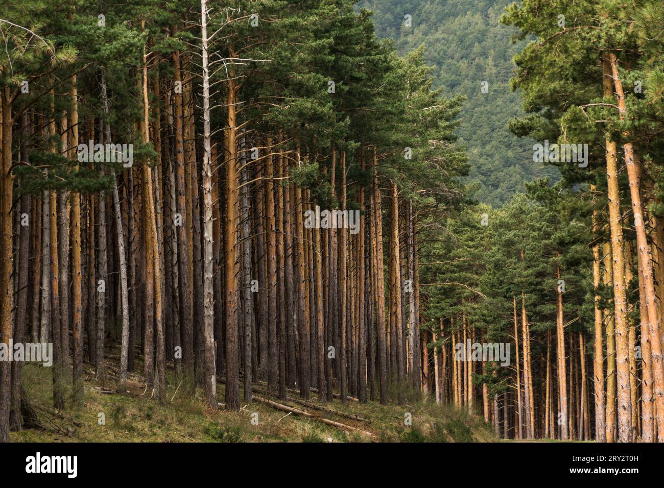 Paisajes de madrid hi-res stock photography and images - Alamy