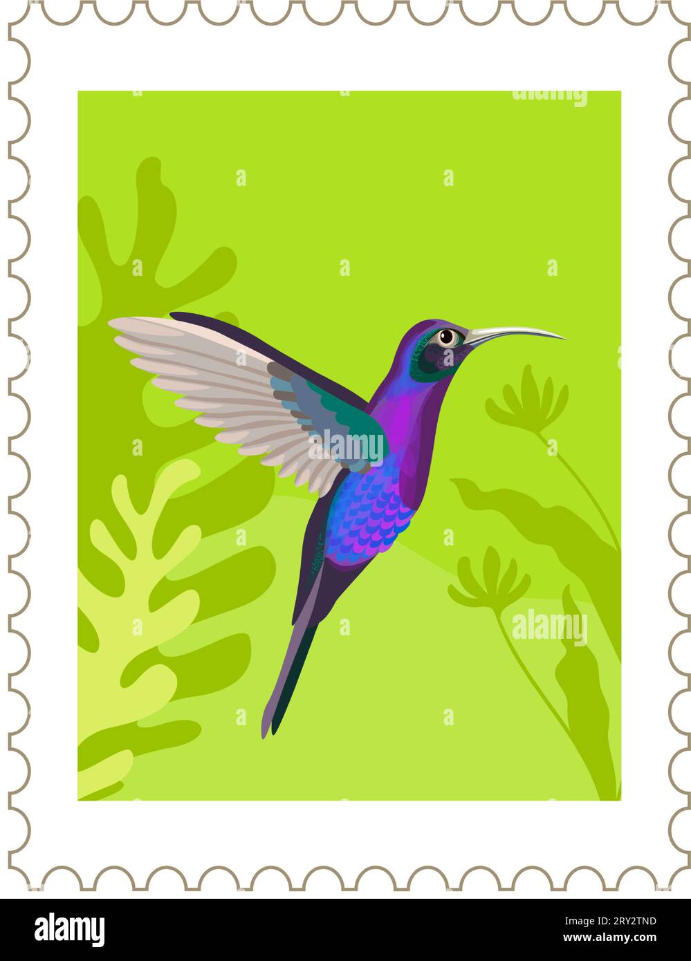 Colibri bird and tropical vegetation postmark Stock Vector Image & Art ...