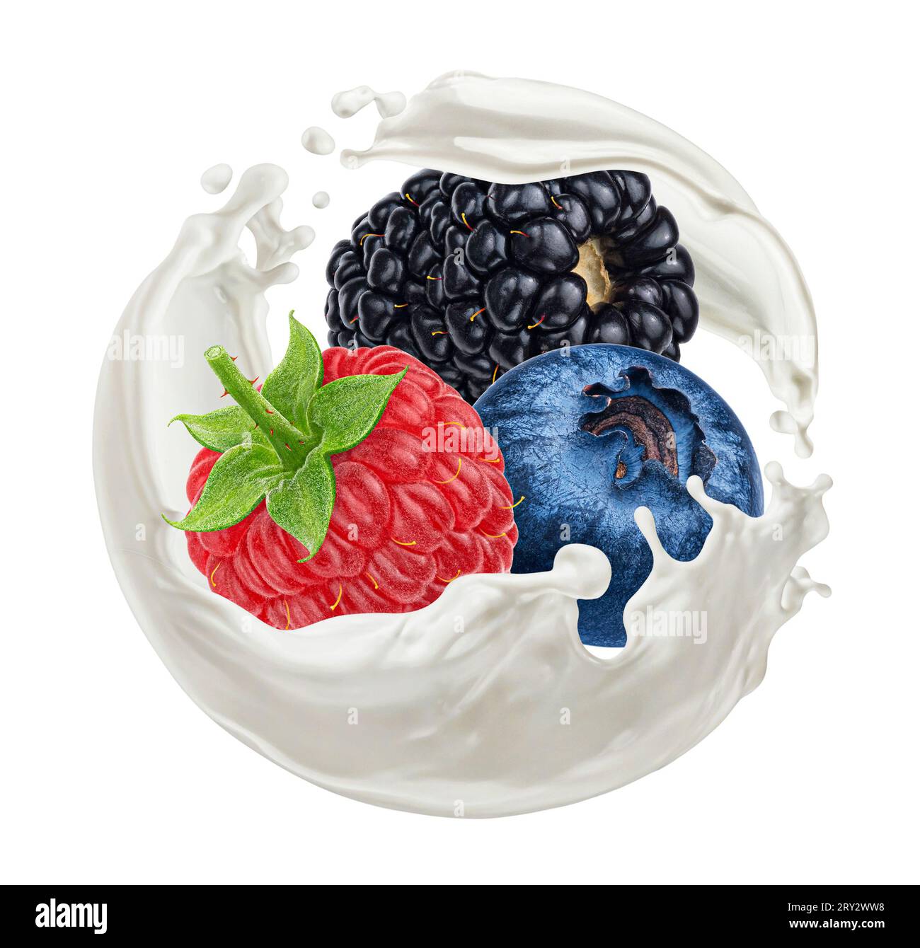 Falling berries with milk splash isolated on white background Stock ...