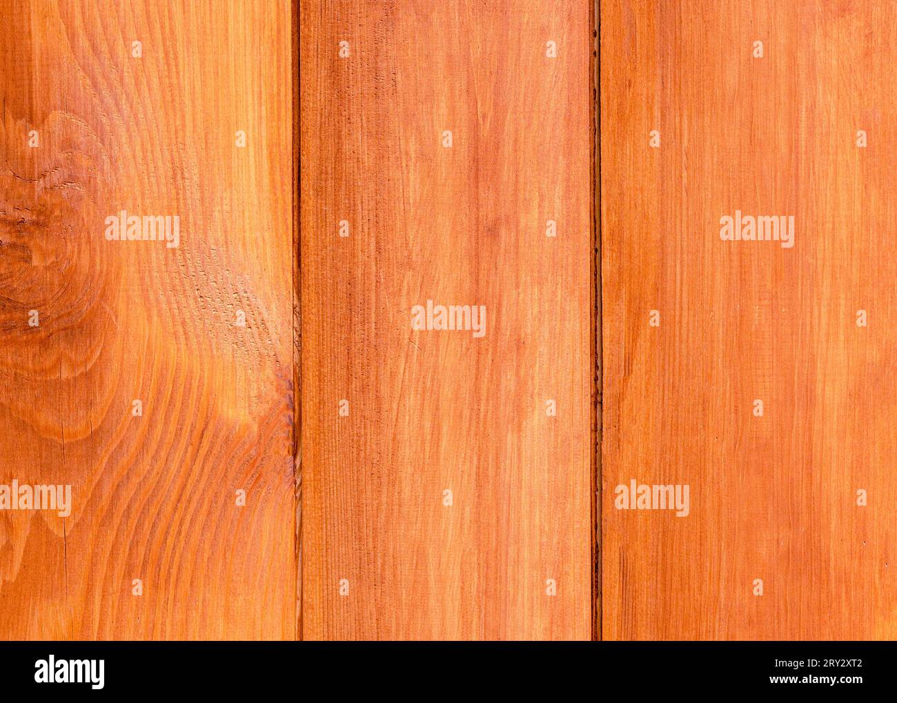 Texture square wooden . background of a tree. Wood Texture, Wooden ...