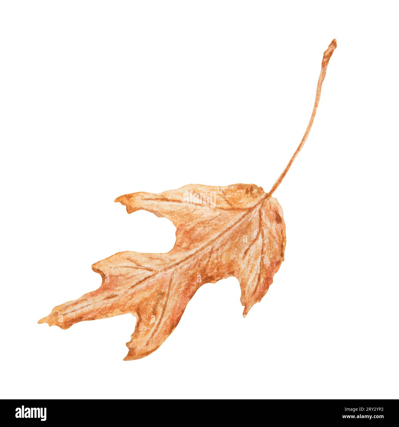 Brown Leaf Clip Art