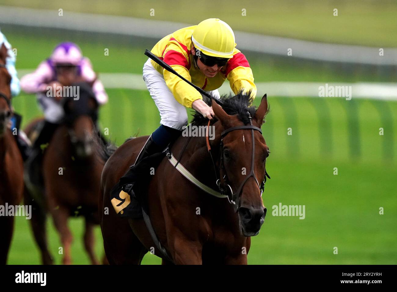 Divina Grace ridden by jockey Callum Shepherd wins the Graham Budd Art & Memorabilia Auction ...