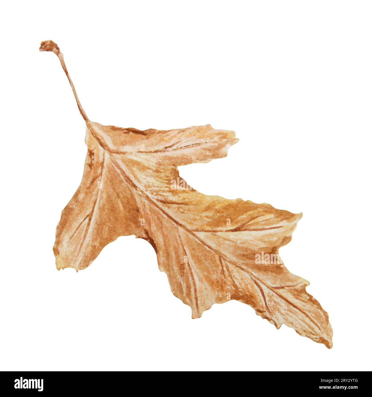 Brown Leaf Clip Art