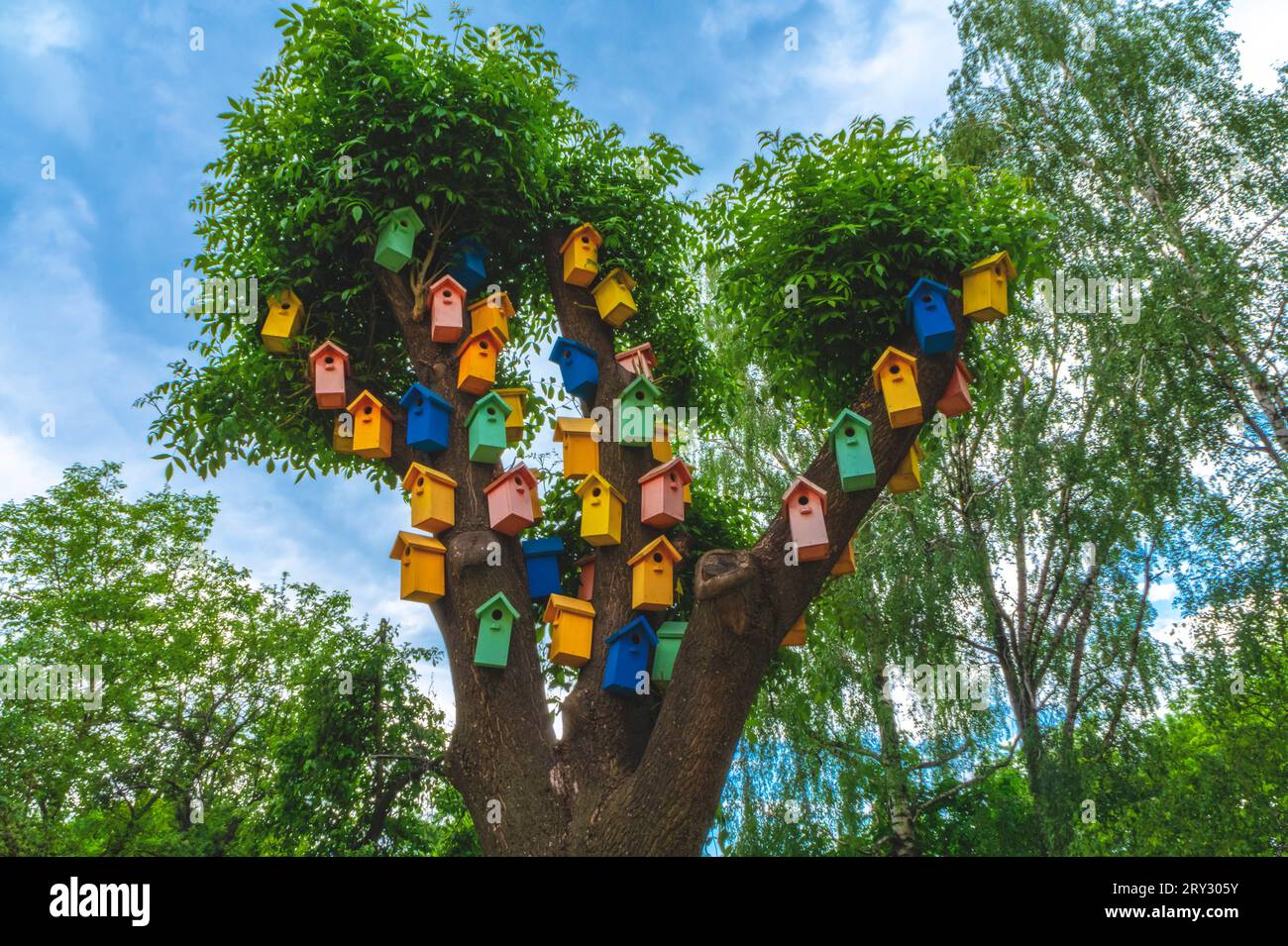 Color nesting boxes on a tree. A lot of colorful birdhouses.The Concept ...