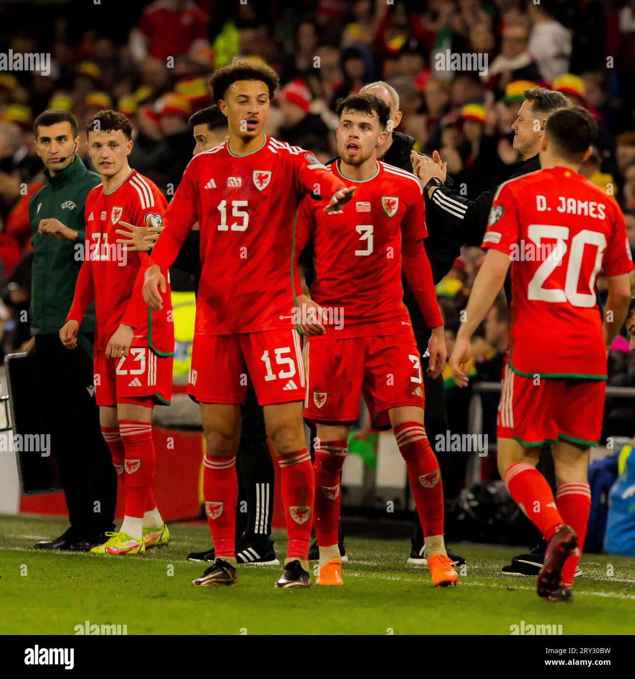 Professional european football hi-res stock photography and images - Alamy