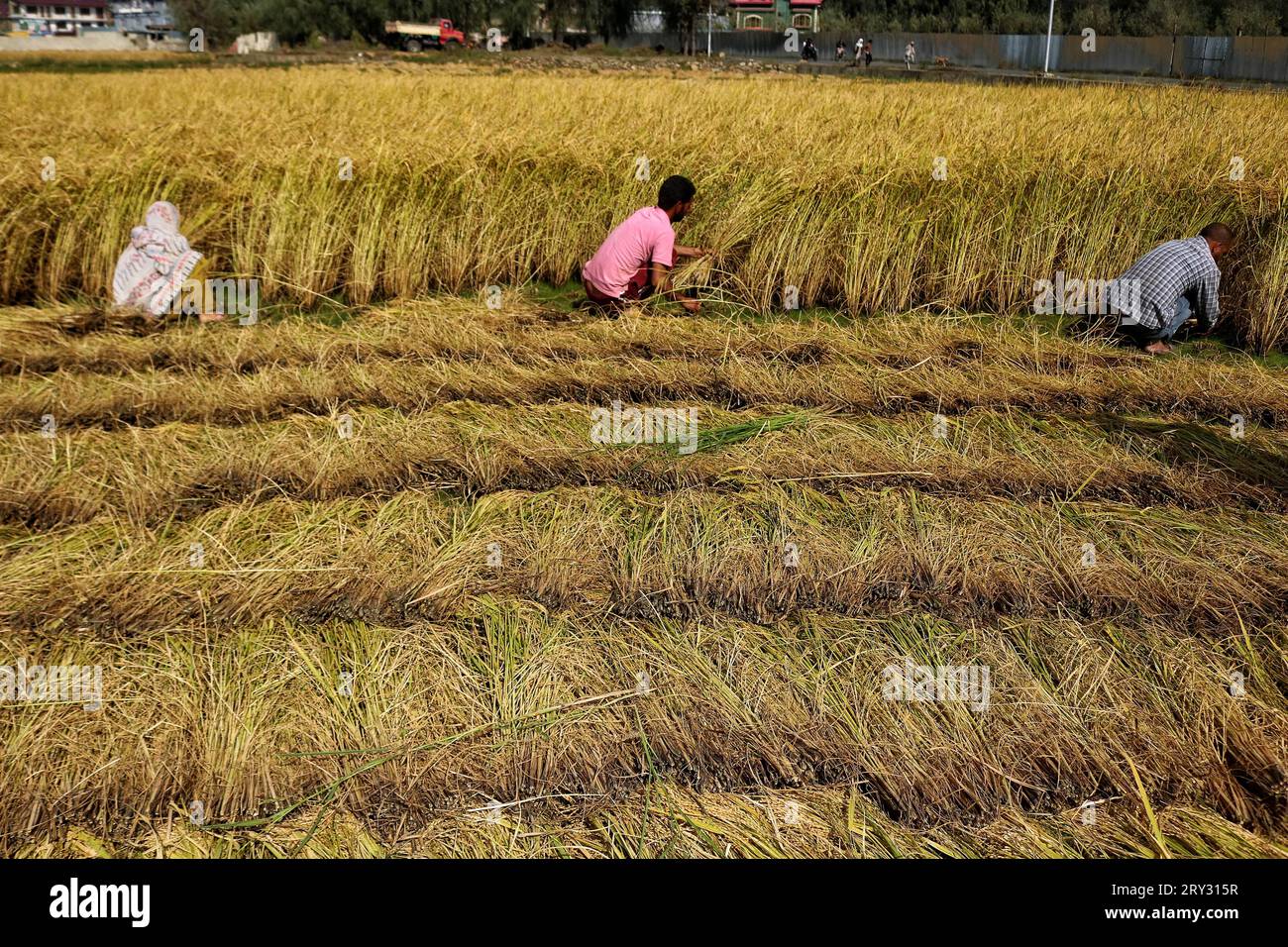 Farmers decline hi-res stock photography and images - Alamy