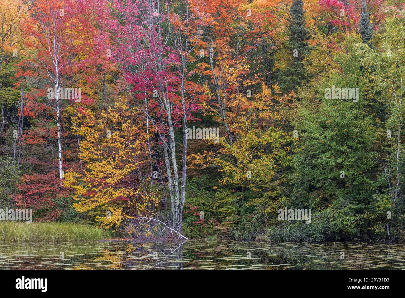 A peaceful scene on a pretty autumn day in the Chequamegon-Nicolet ...