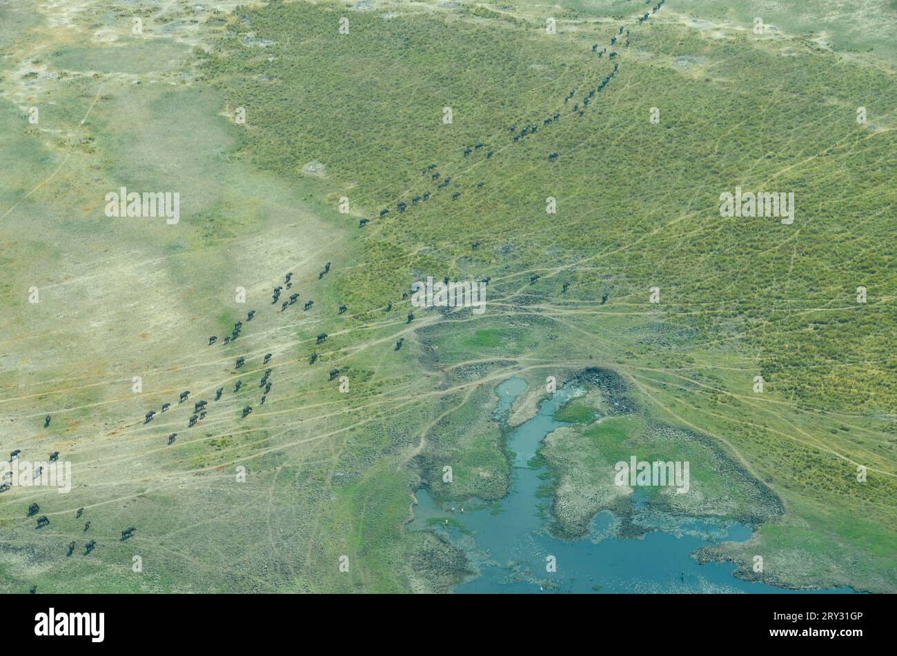 Okavango route hi-res stock photography and images - Alamy