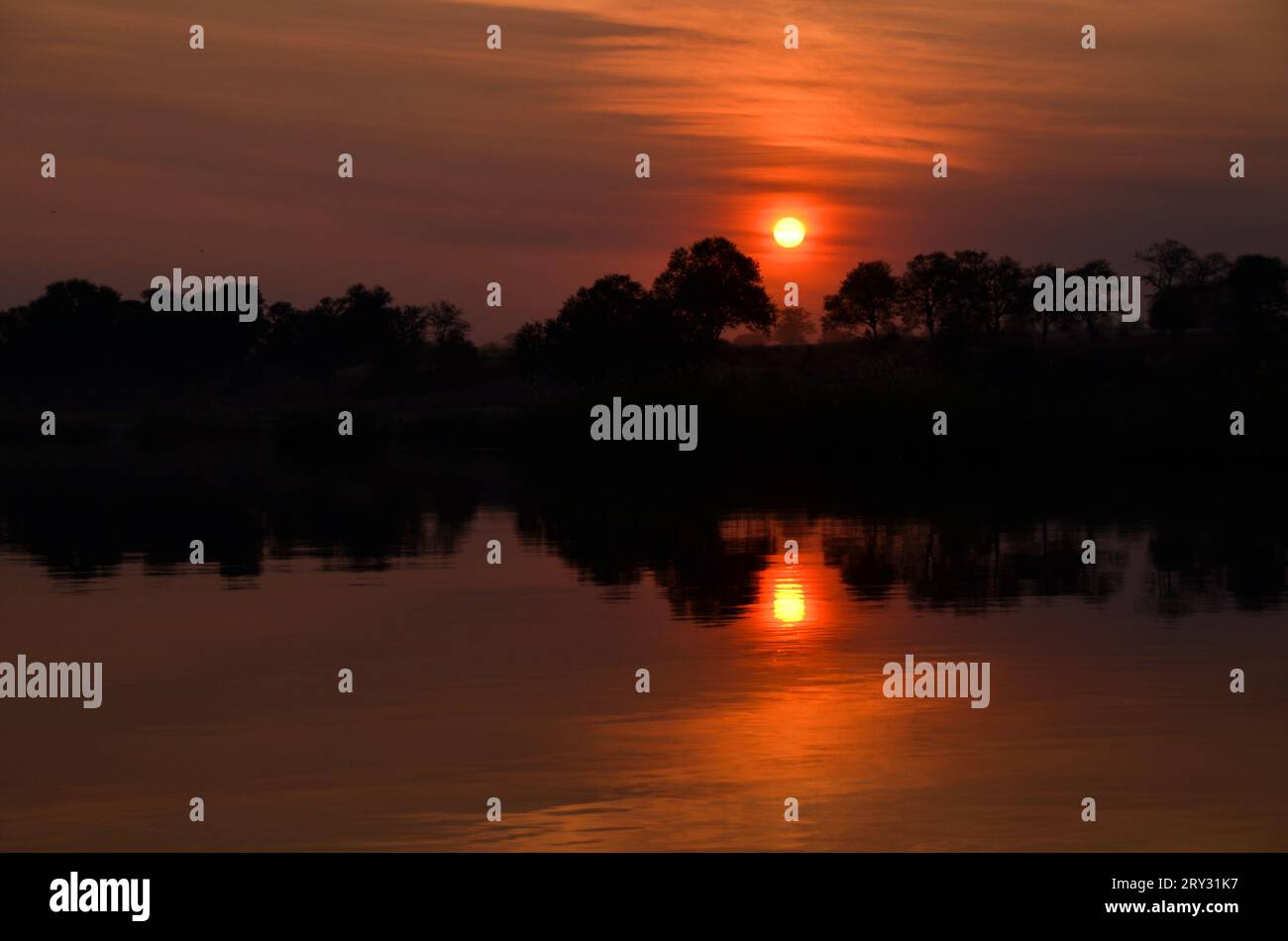 stunning sunset in the okavango river, botswana, africa Stock Photo - Alamy