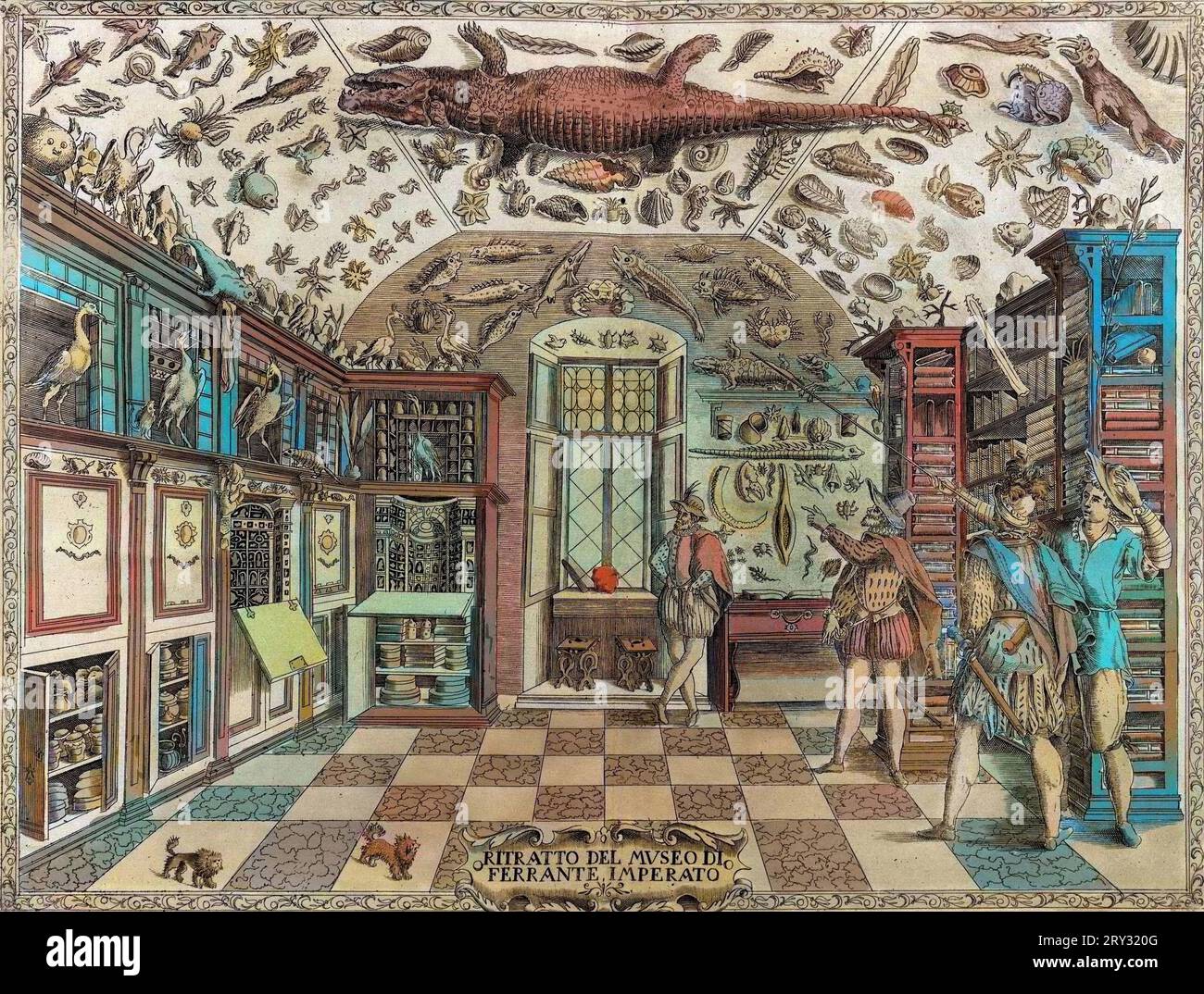 Apothecary cabinet hi-res stock photography and images - Alamy