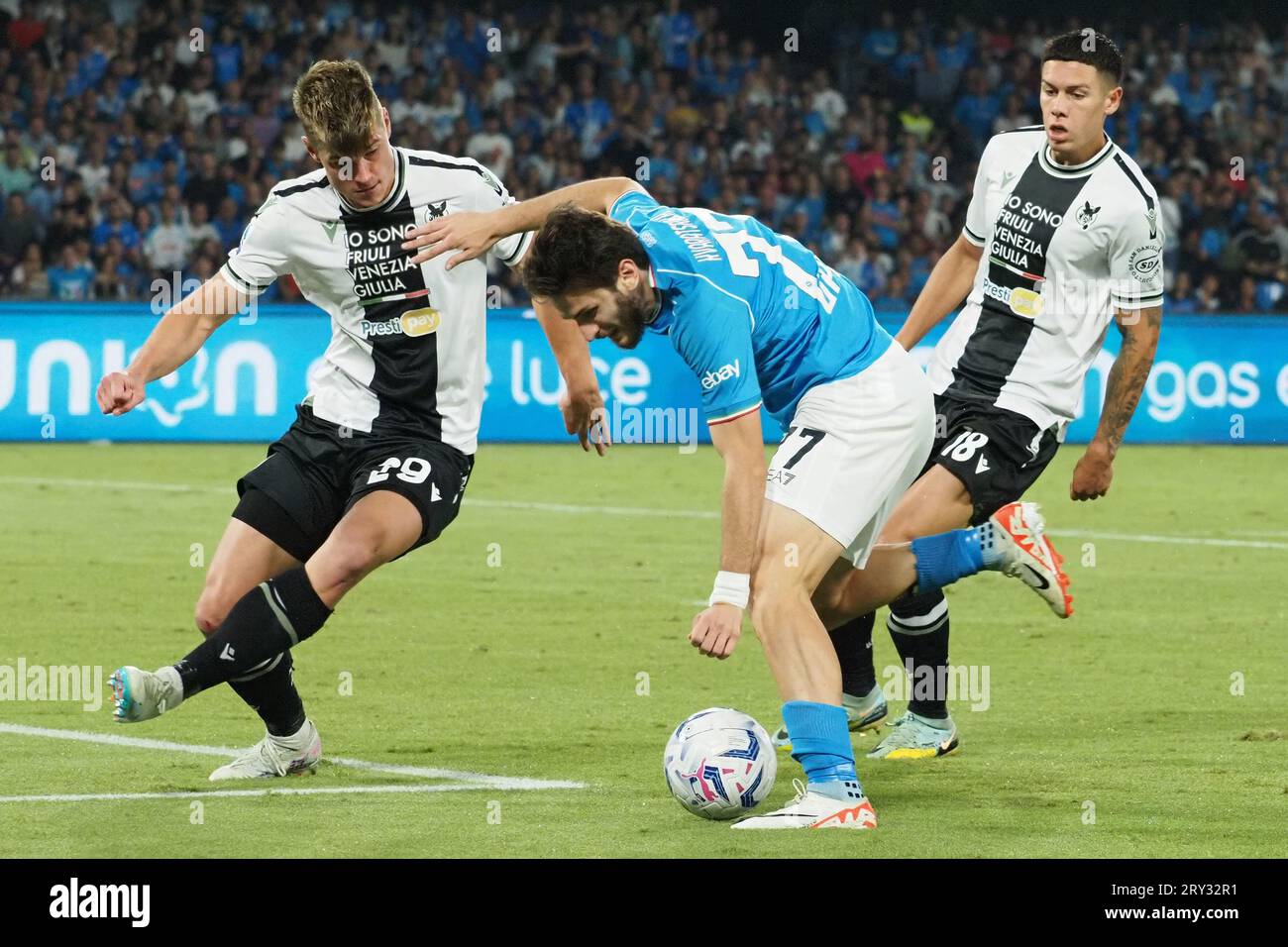 Jaka bijo hi-res stock photography and images - Alamy