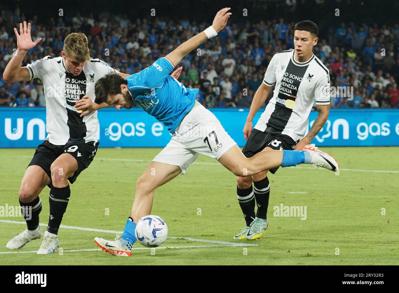 Jaka bijo hi-res stock photography and images - Alamy