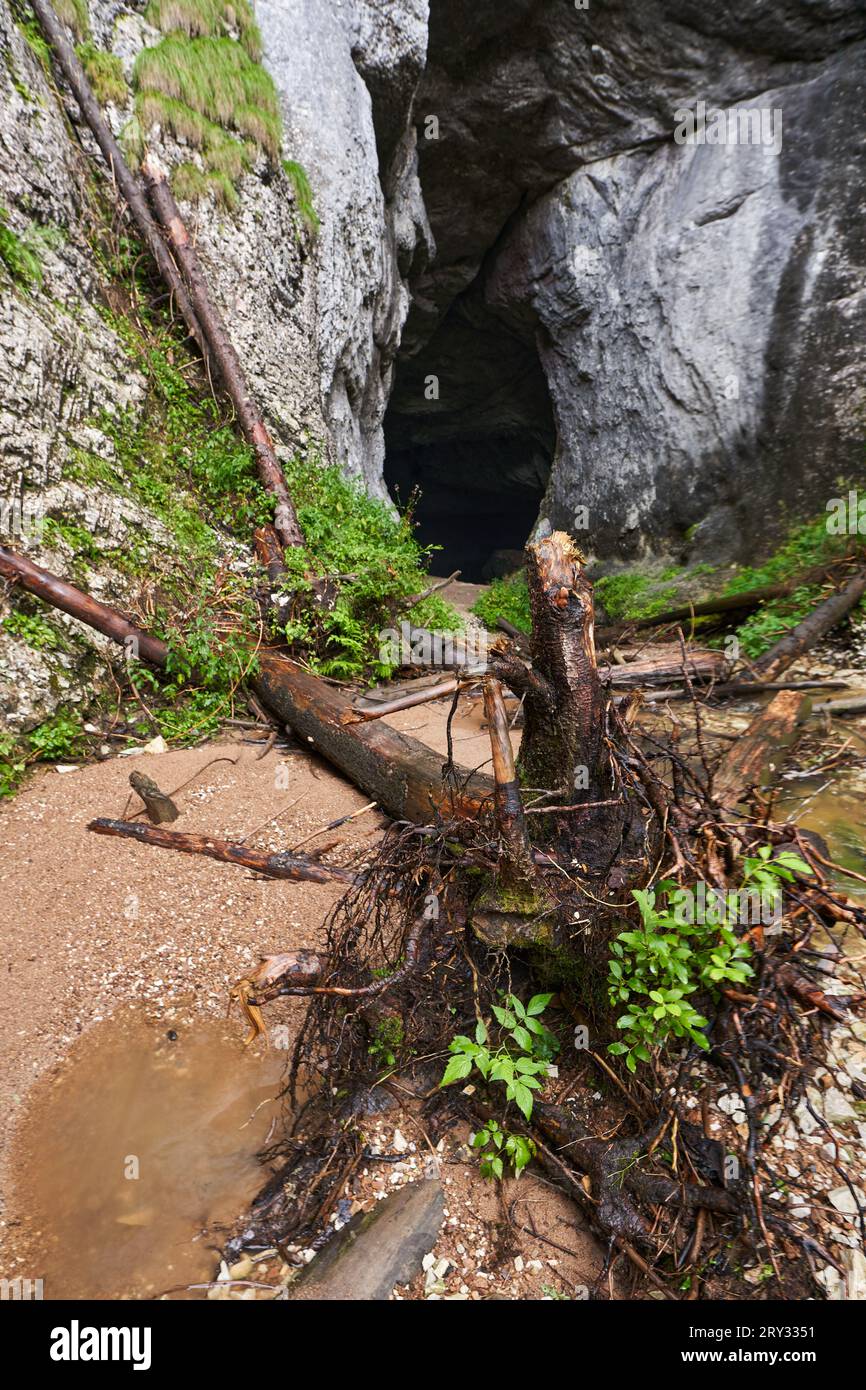 Landscape from a cave dug by water in the limestone mountains Stock ...