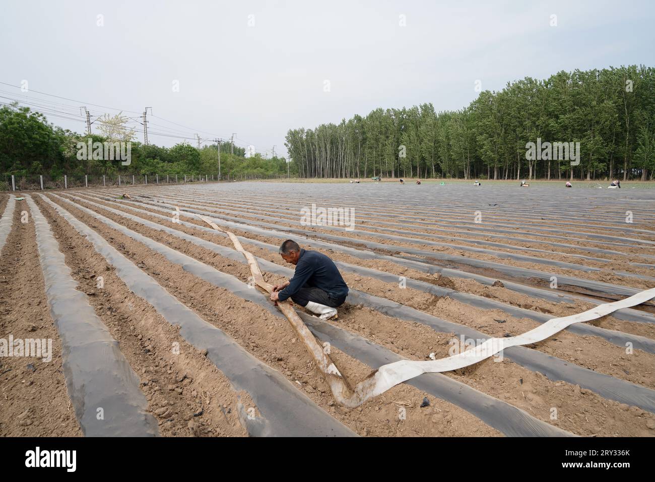 luannan county, China - May 12, 2023: Farmers are installing water ...