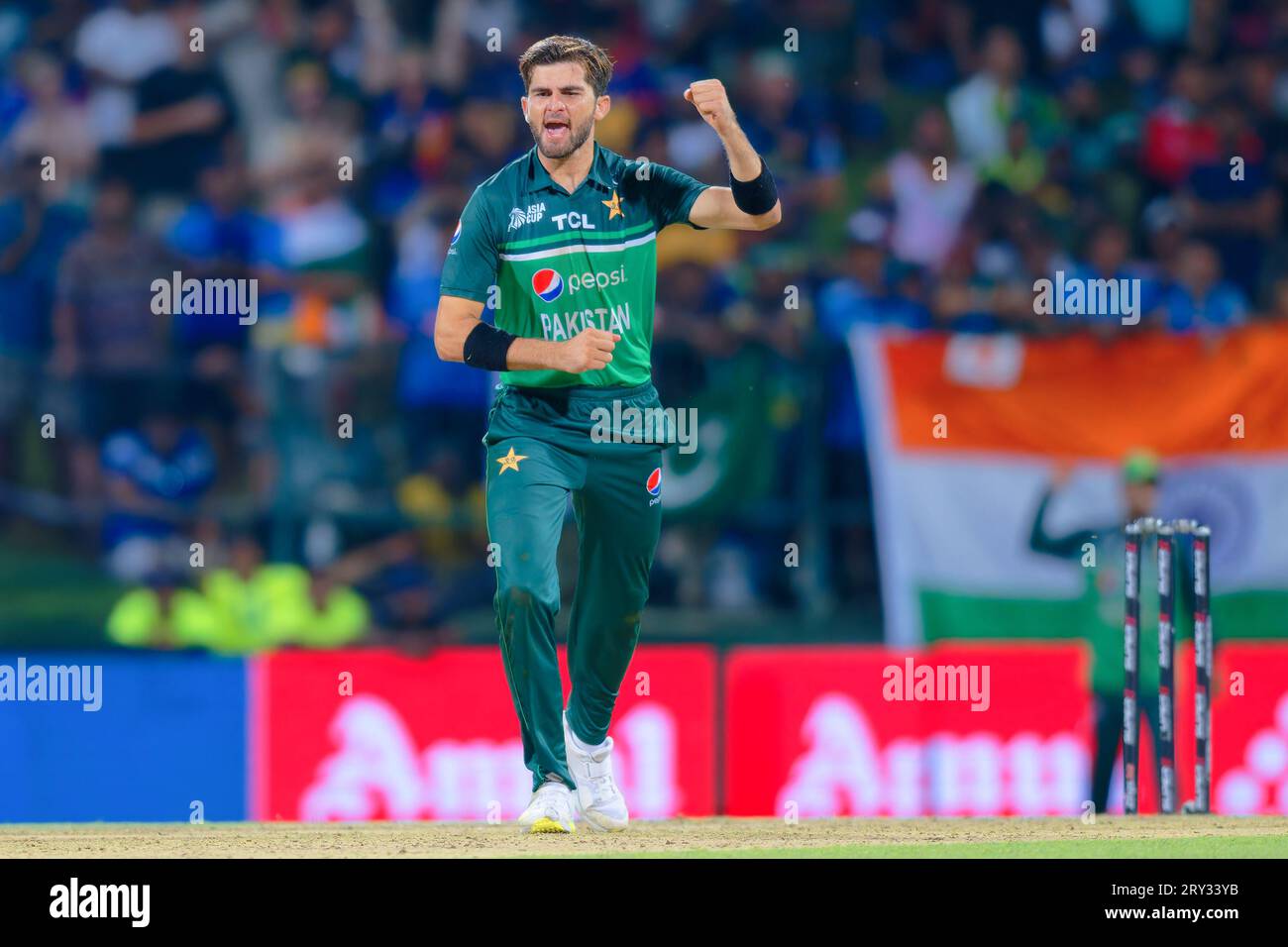 Shaheen Afridi of Pakistan celebrates after taking the wicket during ...