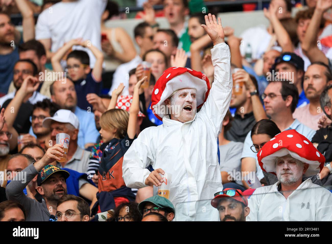 Pool mushrooms hi-res stock photography and images - Alamy