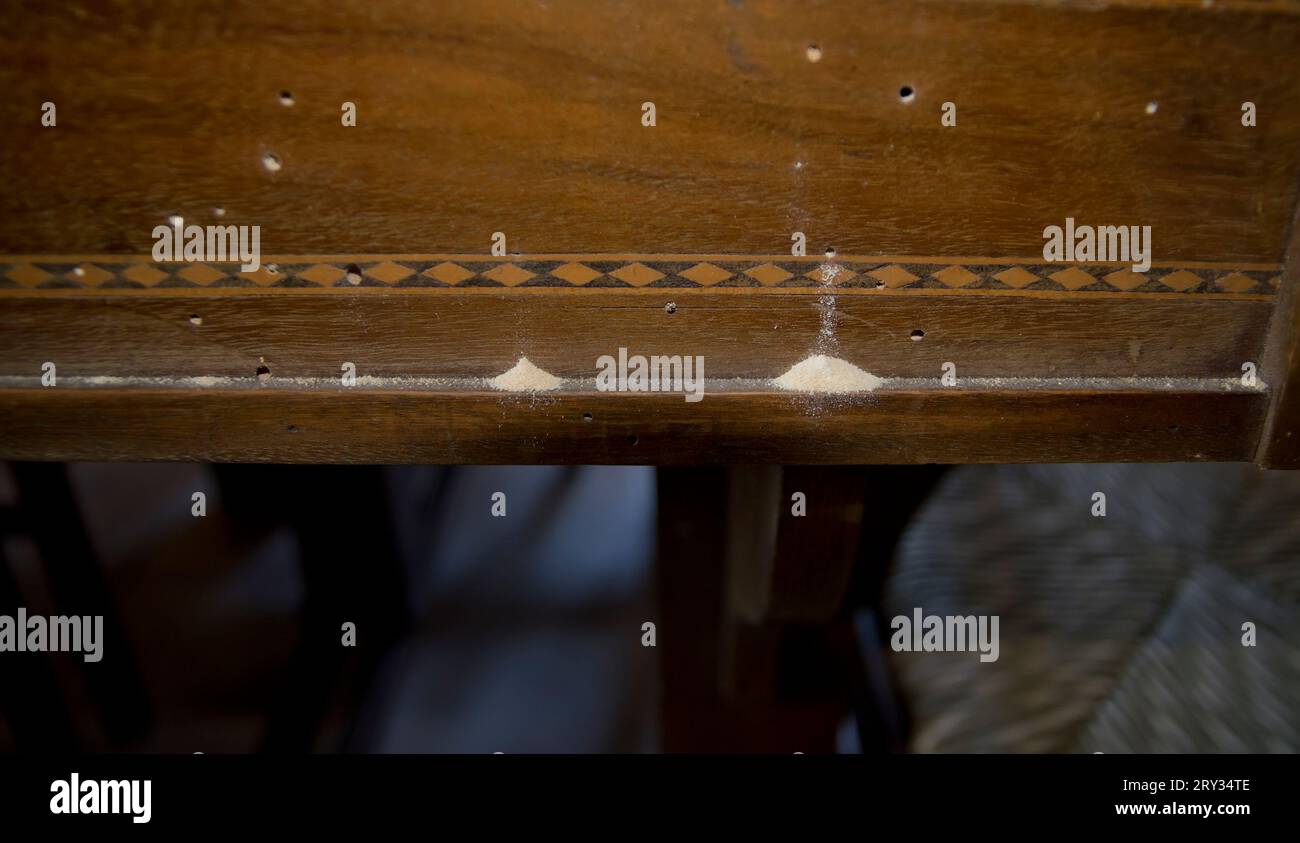 old table with woodworm infestation include bore dust Stock Photo - Alamy