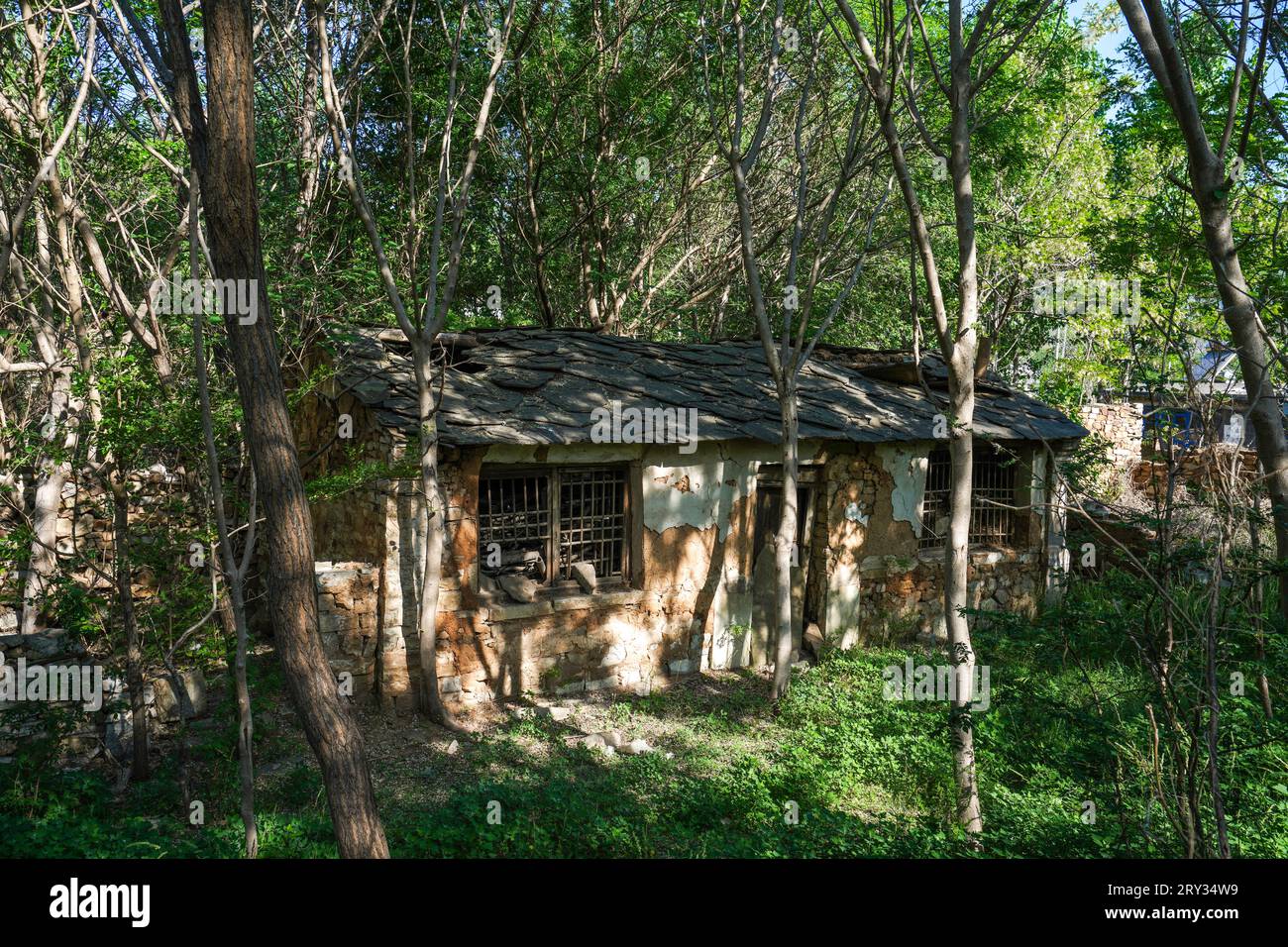 House shaded by trees hi-res stock photography and images - Alamy