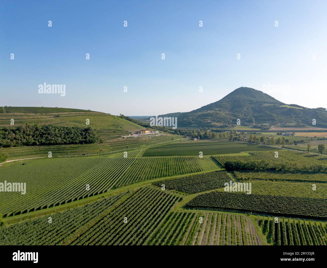 Aerial view of Italian wine country landscape with grapevines of ...