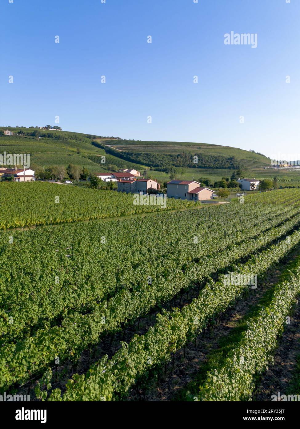 Aerial view valley rolling hills hi-res stock photography and images ...