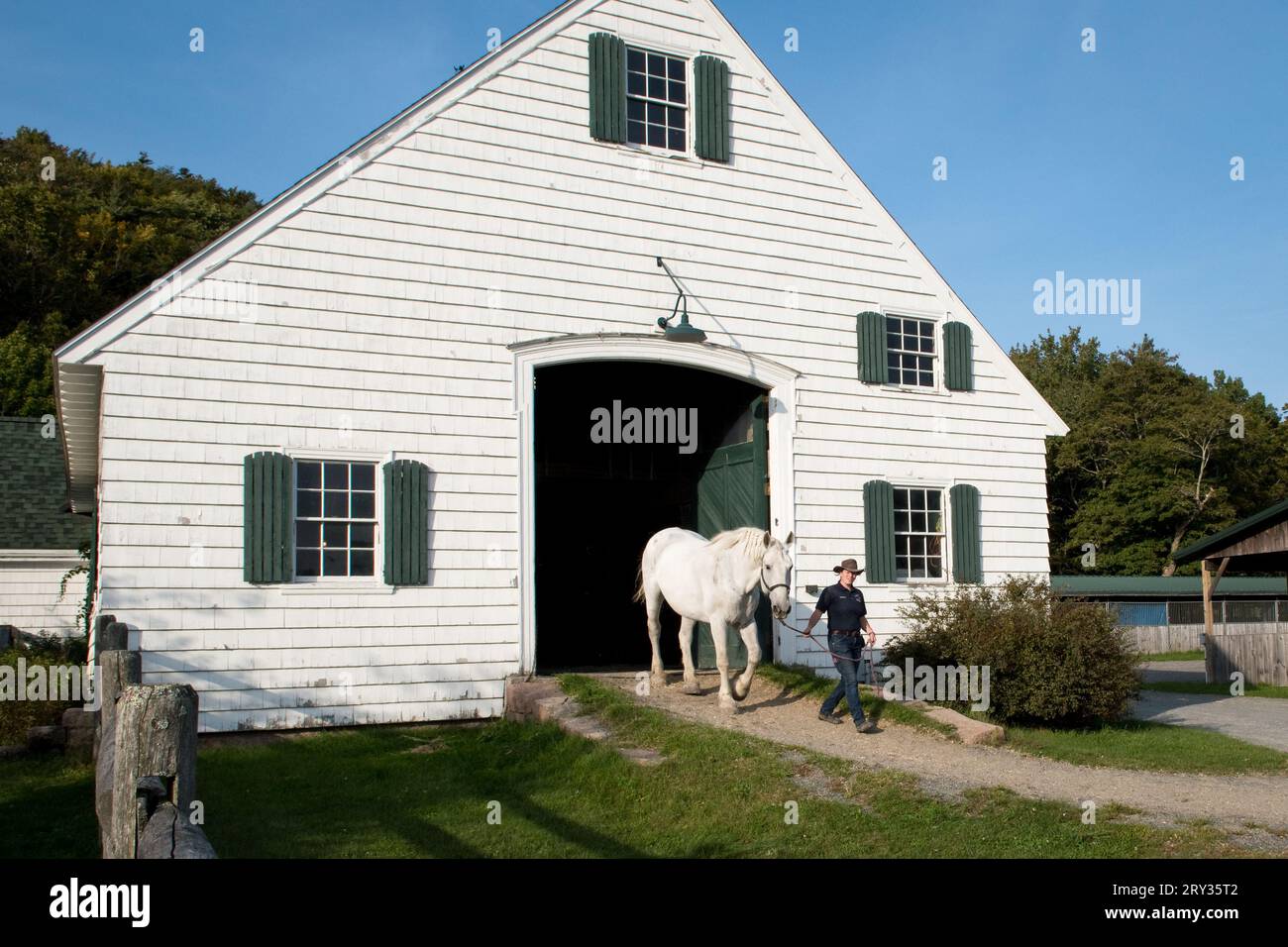 A horse handler leads a horse out of the stable at Wildwood Stables ...