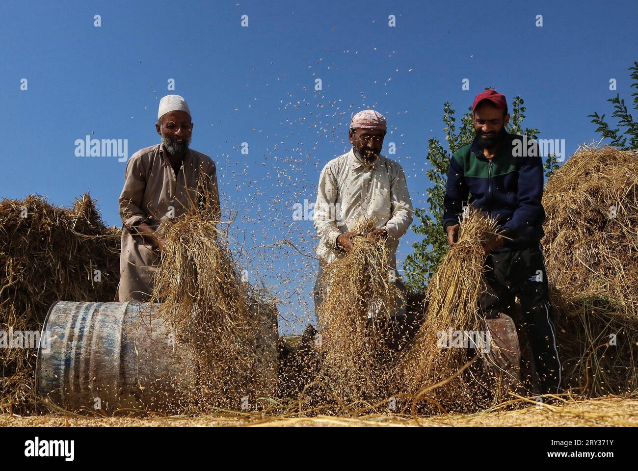 Srinagar, India. 28th Sep, 2023. September 28, 2023, Srinagar Kashmir ...