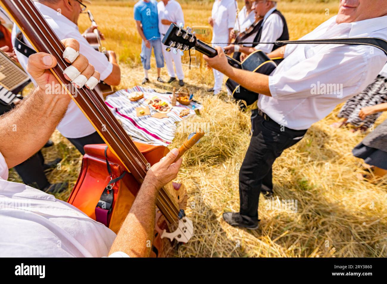 Contrabassist, musician plays contrabass using wooden, jingle bells ...