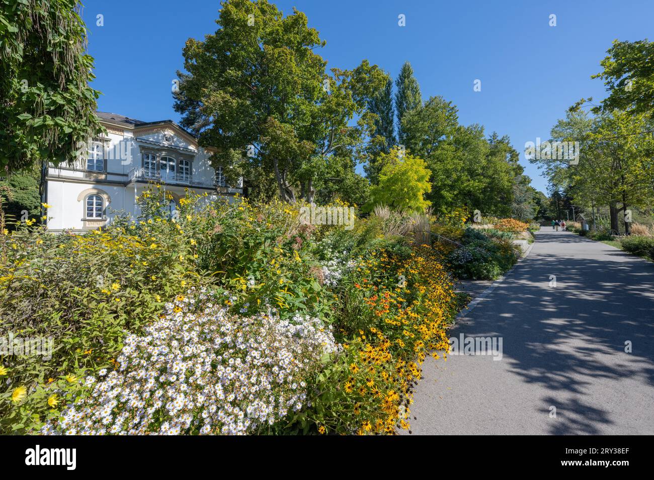 German city on lake constance hi-res stock photography and images - Alamy