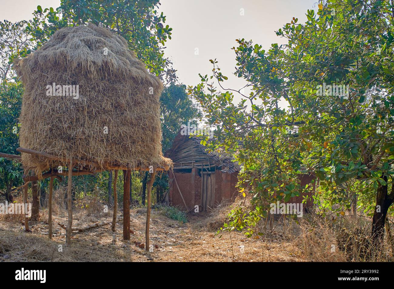 01 25 2011 Vintage Village Farmers House, Palavani, Mandangad ...