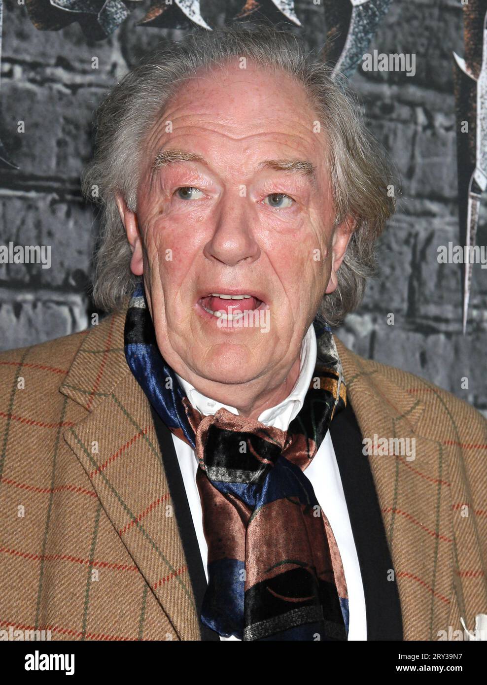 Michael gambon harry potter hi-res stock photography and images - Alamy