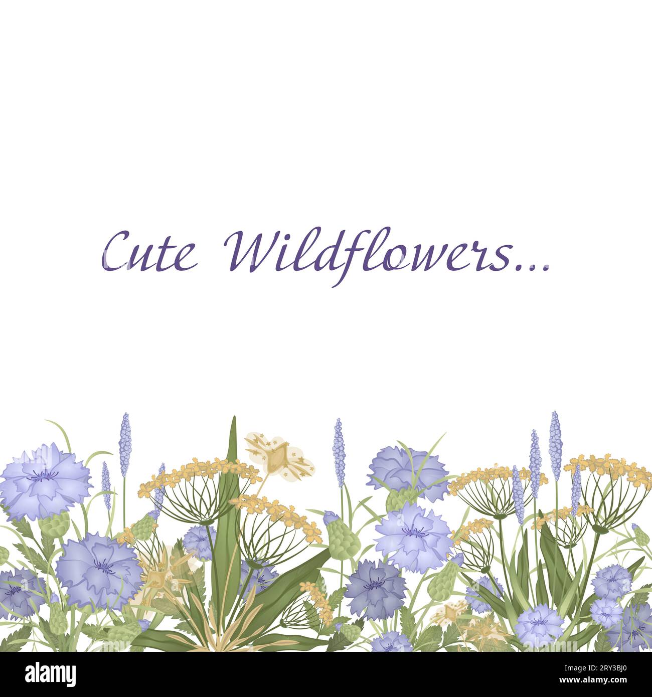 Wildflower arrangement Stock Vector Images - Alamy