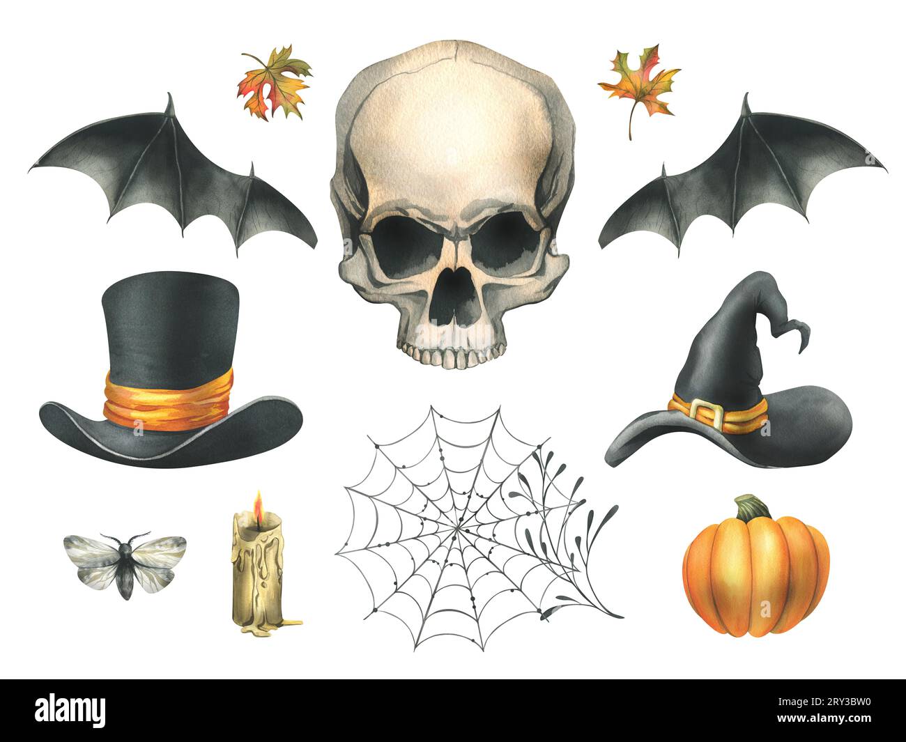 Vampire moth Cut Out Stock Images & Pictures - Alamy