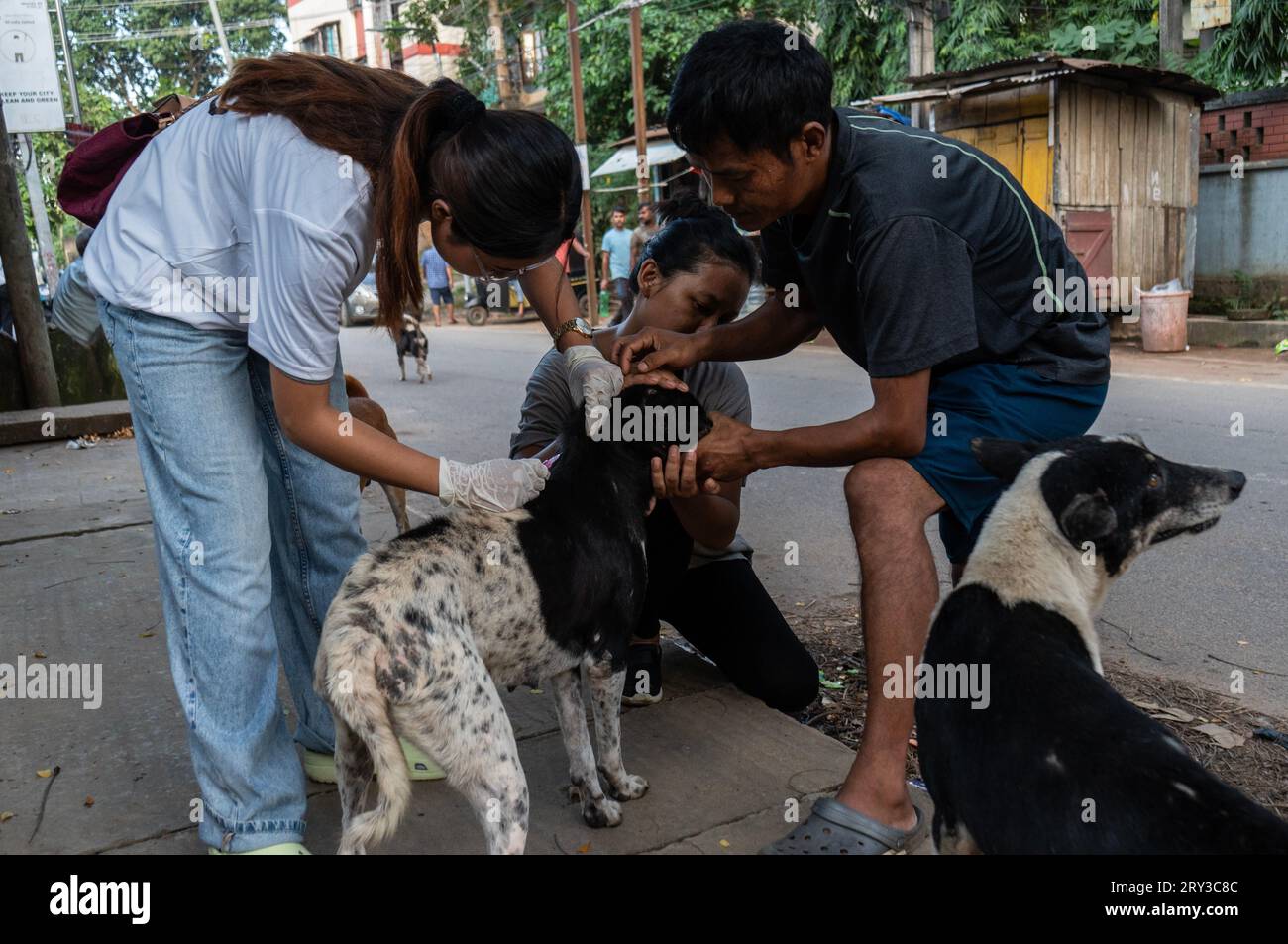 Volunteers of Pet Love Foundation administrate the Anti-Rabies Vaccine ...