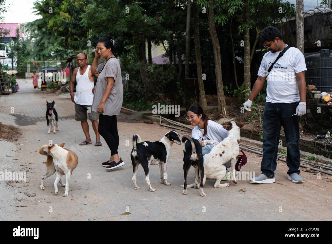 Volunteers of Pet Love Foundation administrate the Anti-Rabies Vaccine ...