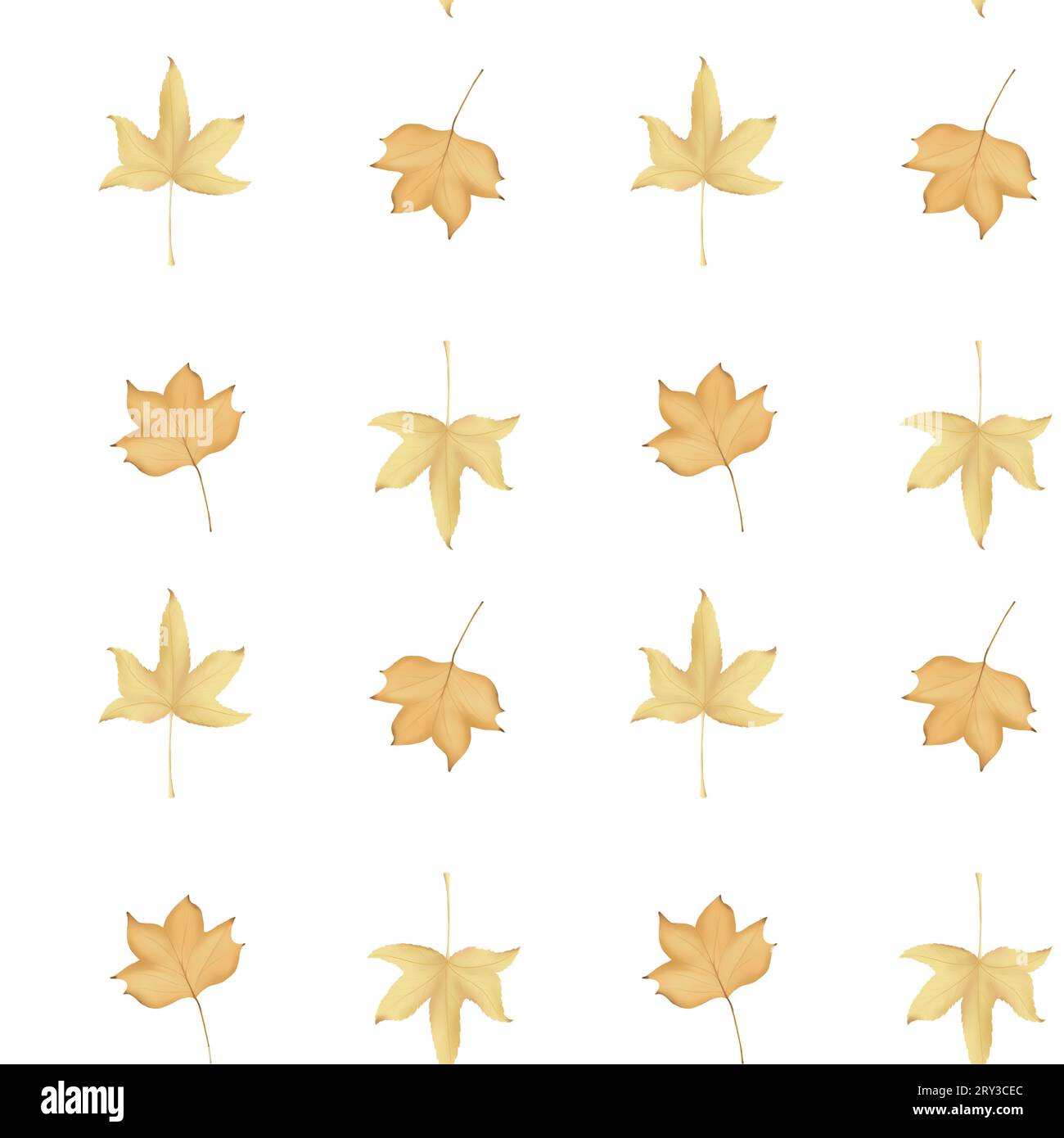 Yellow falling leaves autumn Cut Out Stock Images & Pictures - Alamy