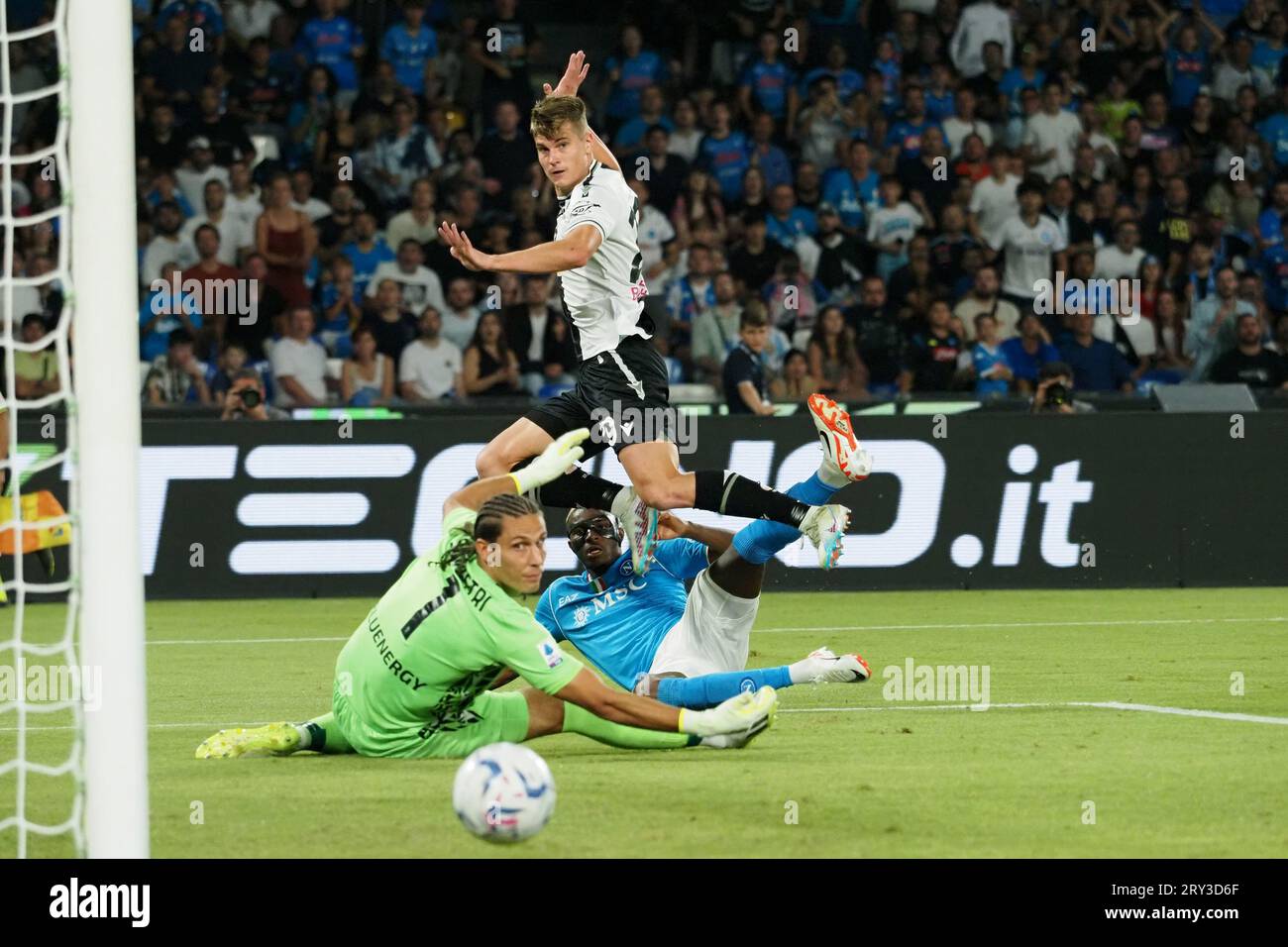 Jaka bijo hi-res stock photography and images - Alamy