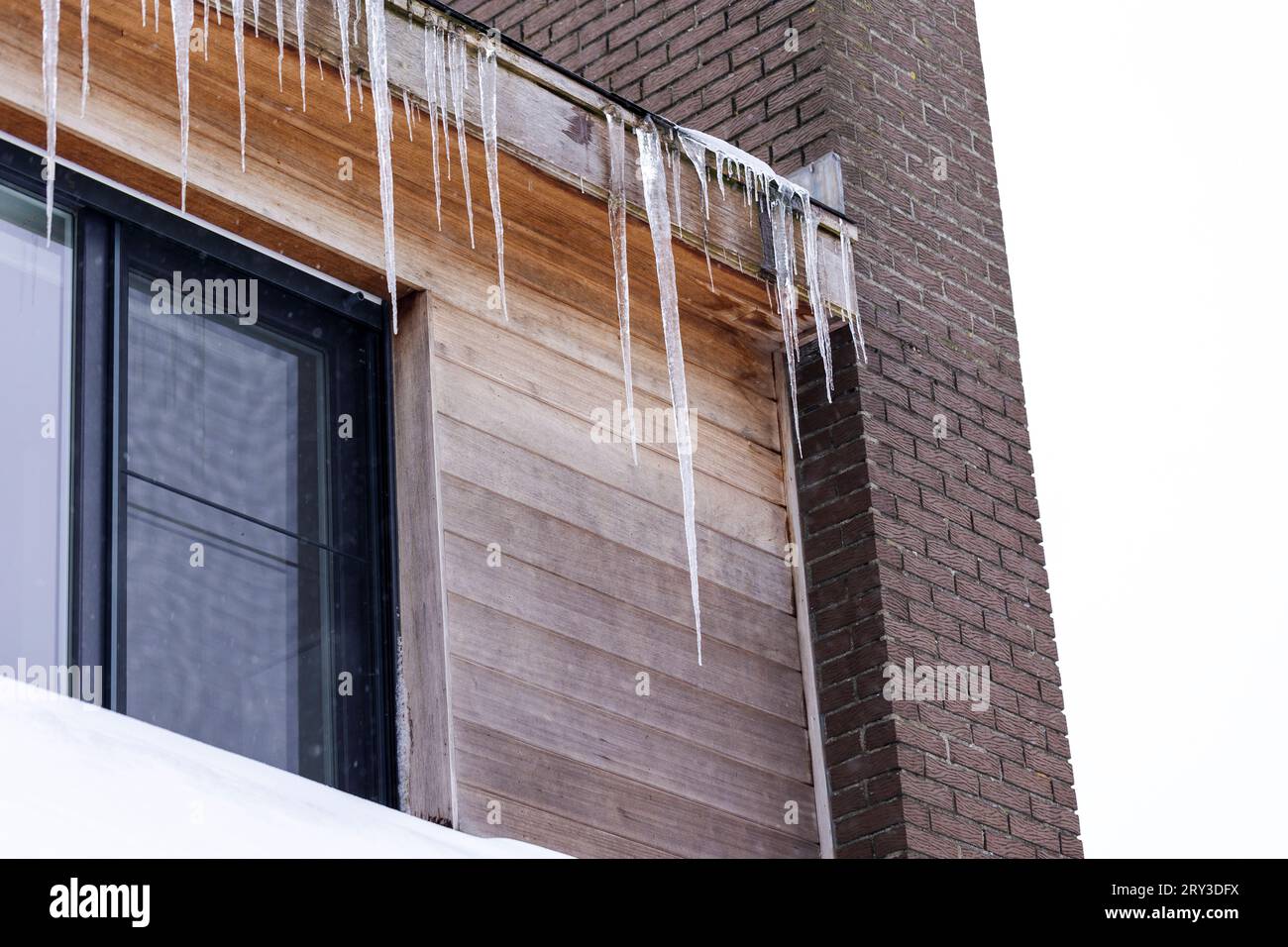 A portrait of long icicles hanging from a roof gutter above a window ...