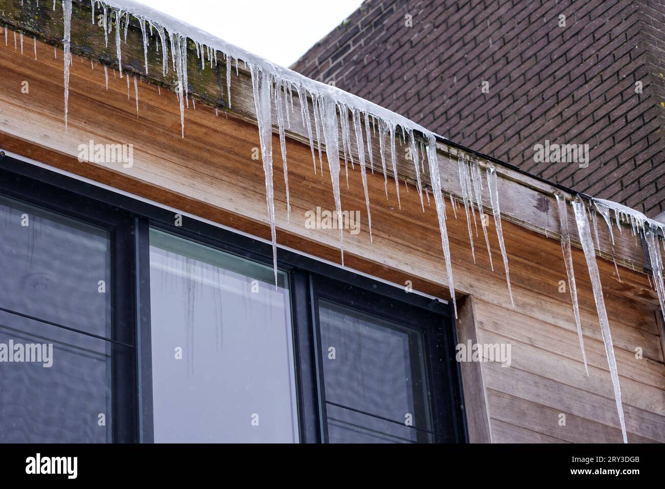A closeup portrait of big icicles hanging from a roof gutter above a ...